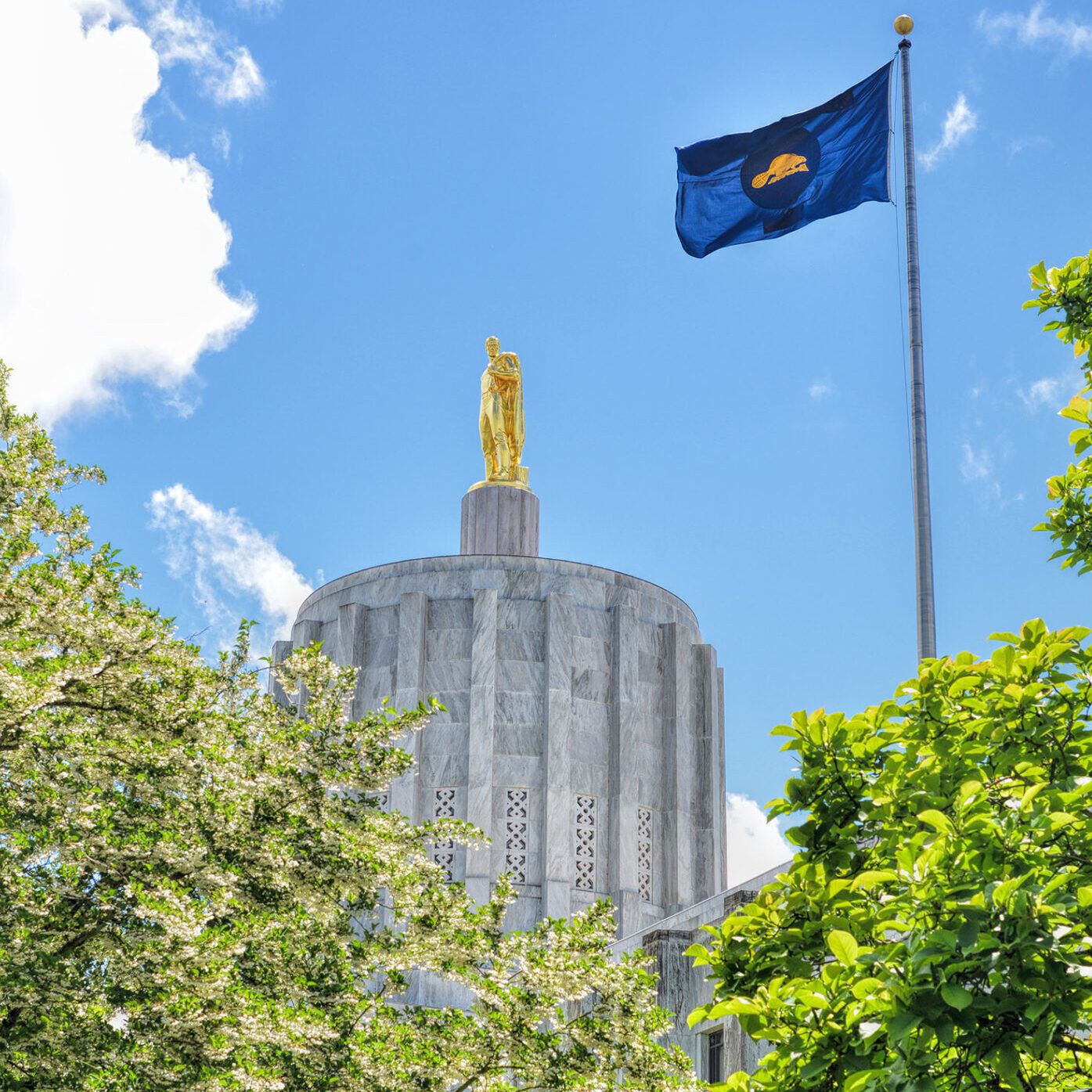 Legislative Session Resources | Oregon School Boards Association